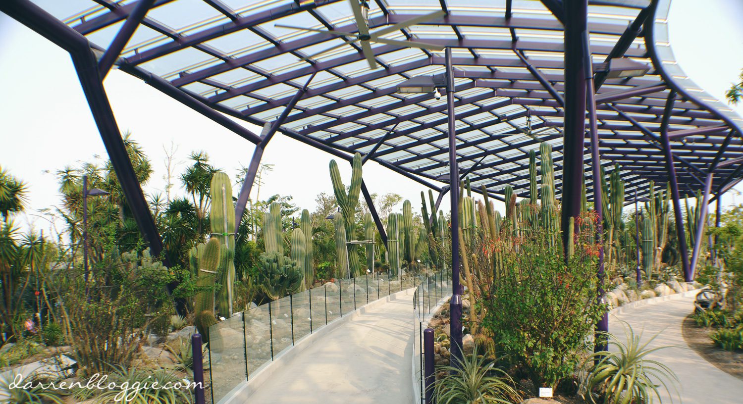 [NEW in the Gardens!] The Sun Pavilion, New Prickly Attraction at ...