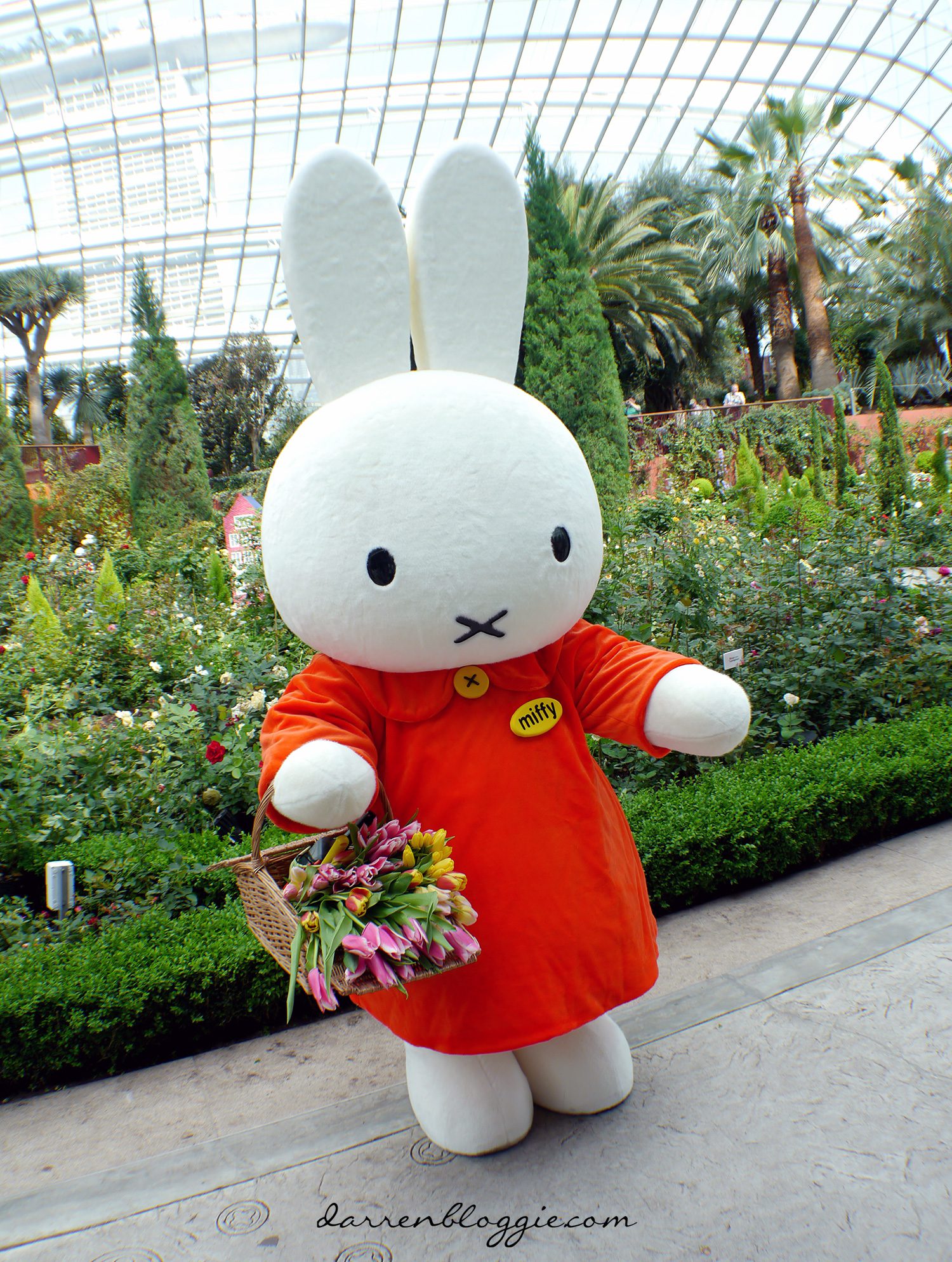 Tulips Planting with Miffy at Gardens by the Bay | Darren Bloggie ...